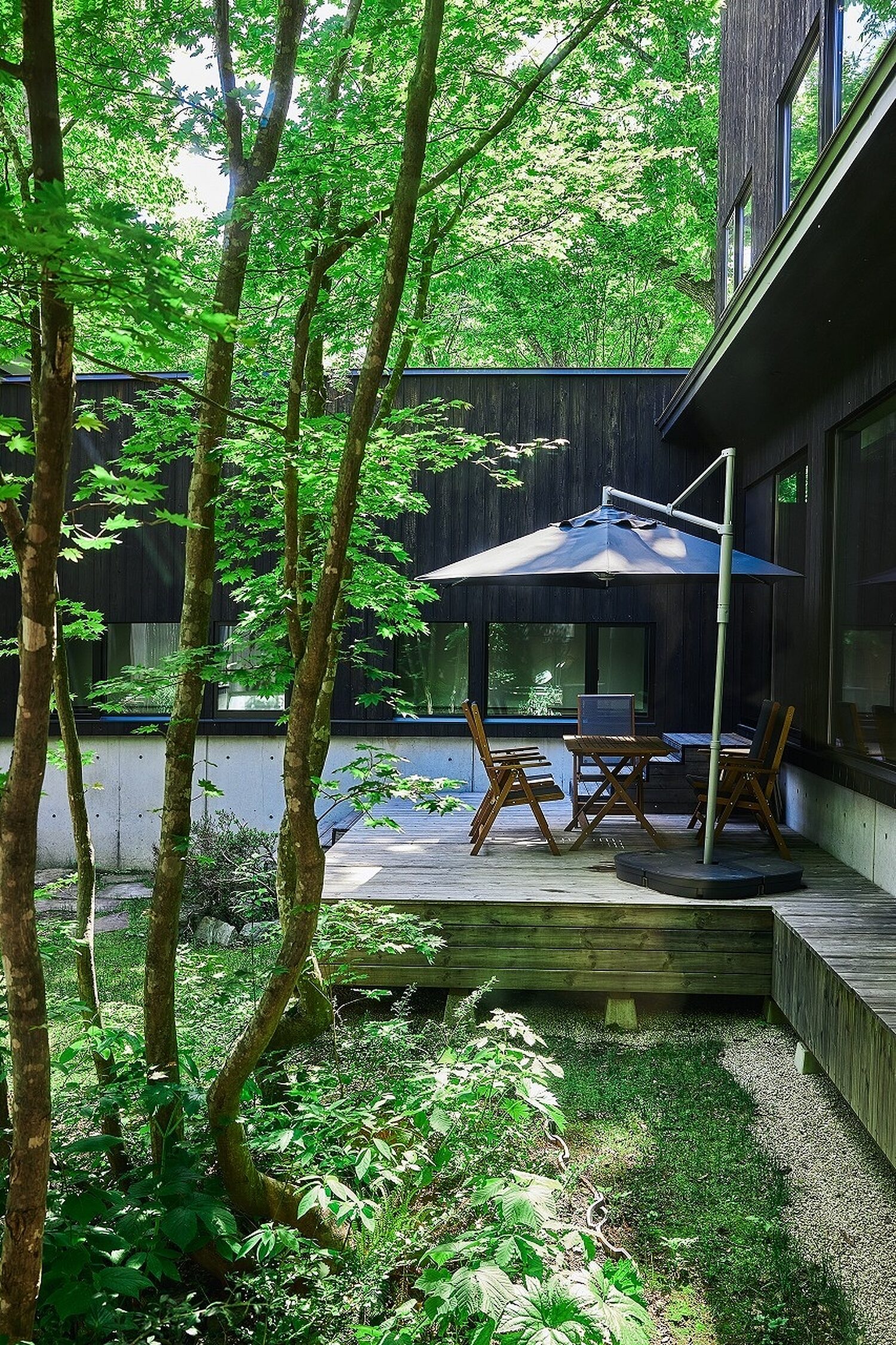 NÍVIA | The Hakuba Company